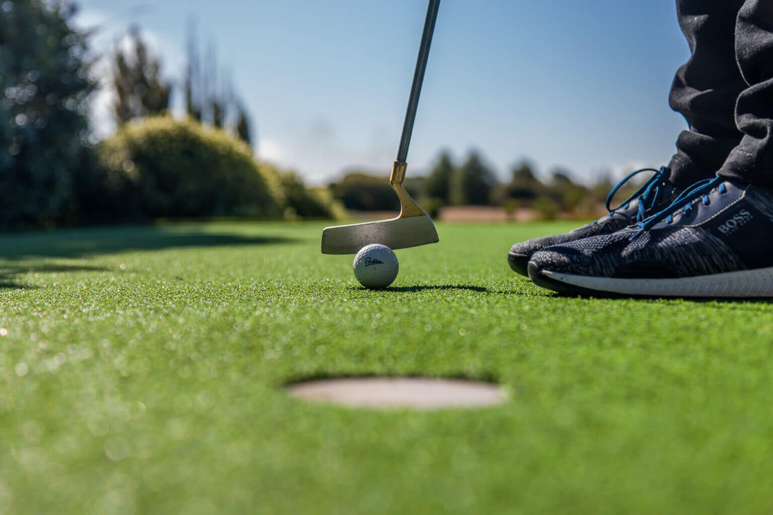 Luxury Meets Practicality - SmartGrass