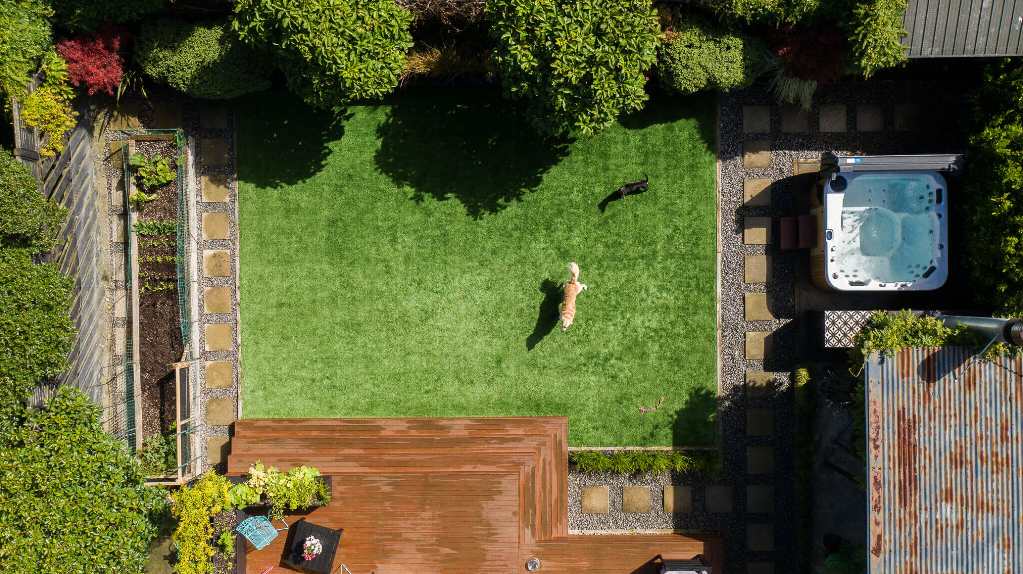 SmartGrass Goodbye to Paw Prints & Mud - A family's life transformed!